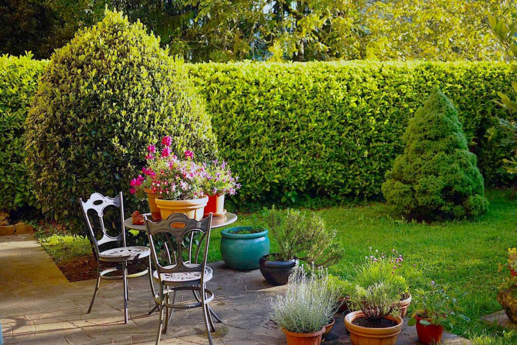 The 6 Trees That Should Be In Every Yard And Which Tree İs The Most ...