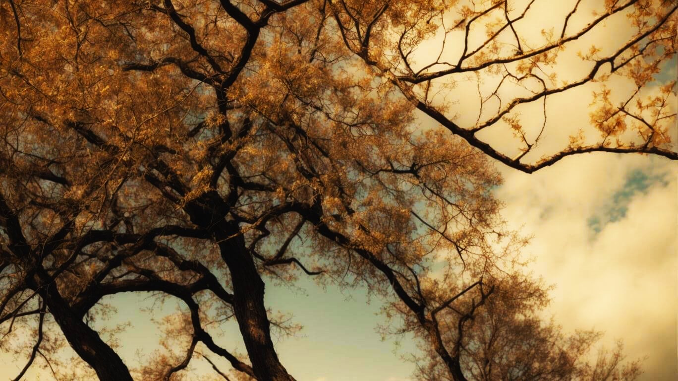 Identifying Common Tree Pests & Diseases: Tree Disease İdentification Guide