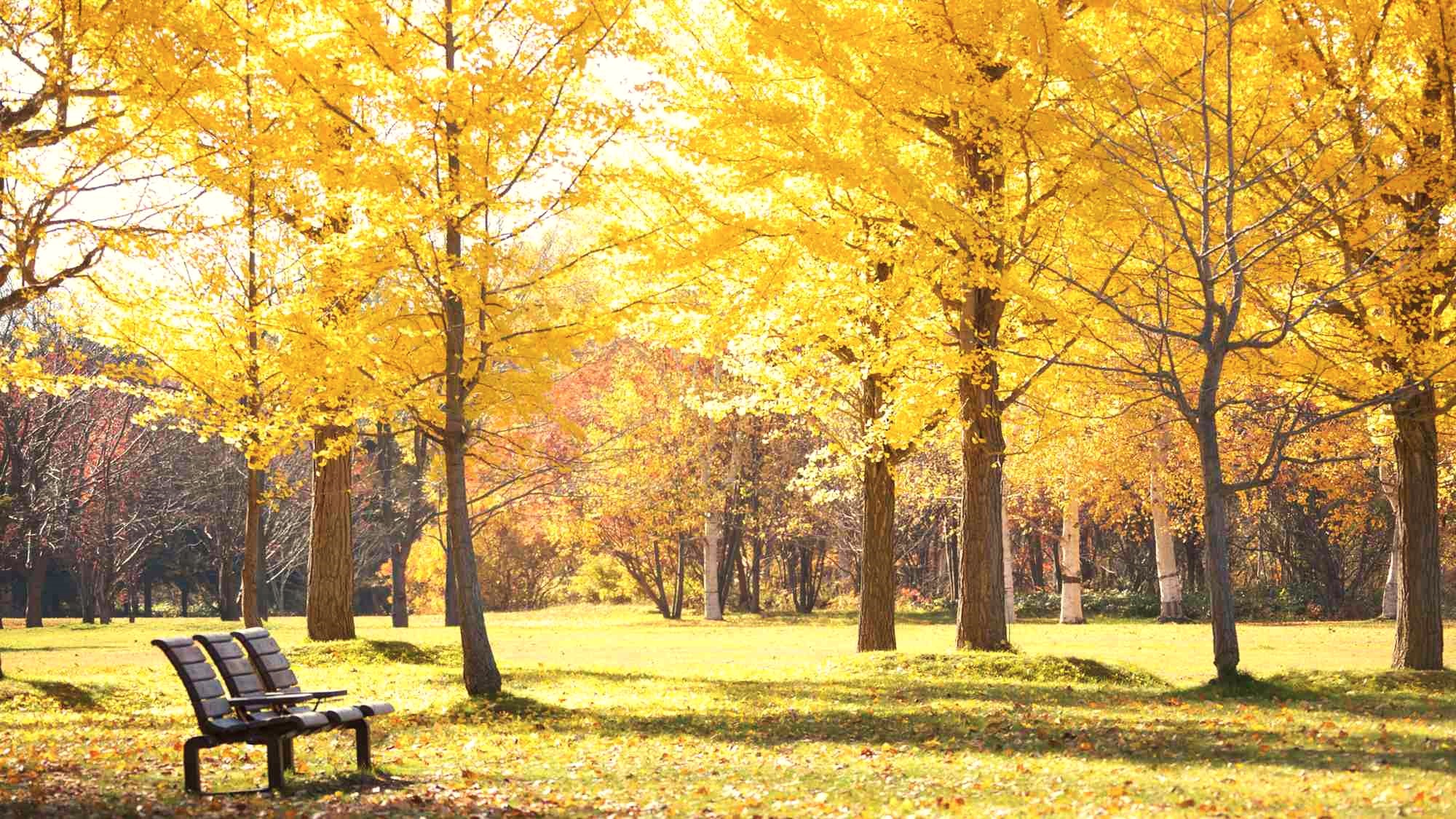 Invasive Trees: 7 Invasive Trees You Should Never Plant In Your Yard Or ...