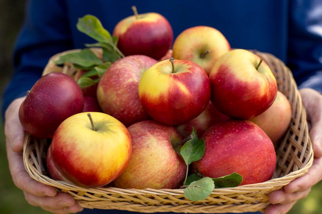 What is An Autumn Crisp Apple?